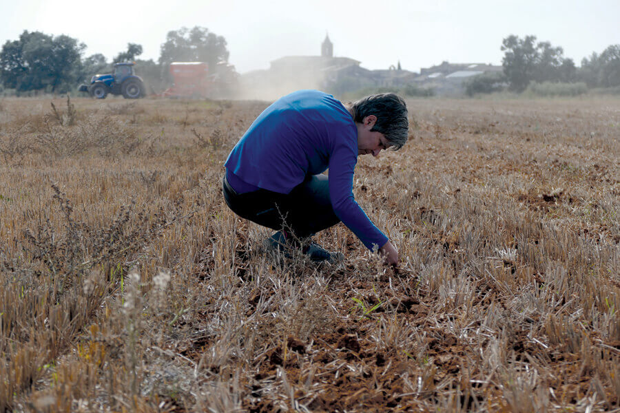 ¿Cuál es la diferencia entre mínimo laboreo y siembra directa? | KUHN